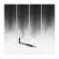 Alpha Wolf : Mono | Has it leaked?