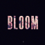 Lewis Capaldi : Bloom | Has it leaked?