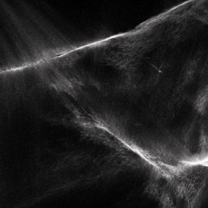 We Came As Romans : Tracing Back Roots